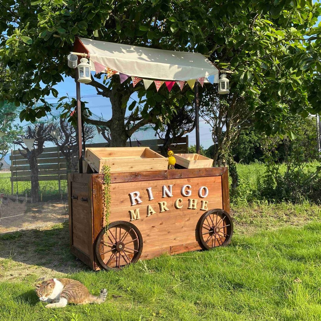 handmadeworks ARIAさんのDIY作品 | クラフトハート トーカイ 無地 シーチング AST1500 ... | croccha