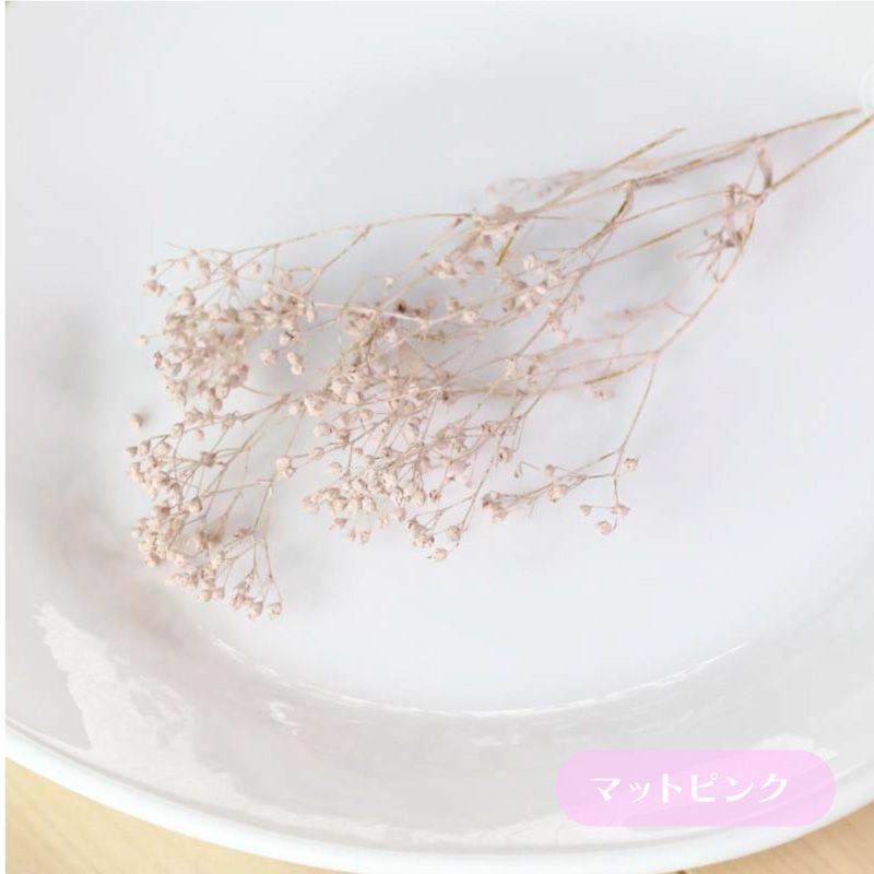 【小分け】スーパーソフトミニかすみ草 マット 3種 大地農園 | クロッチャショップ