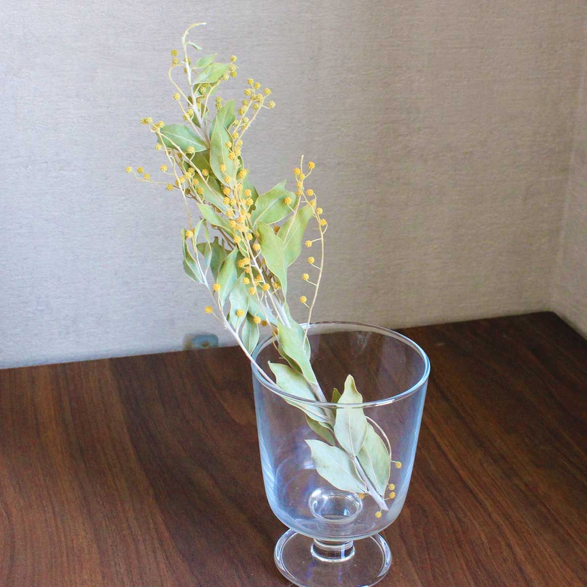 小分け】ミモザ 大地農園」を使った作品 | croccha